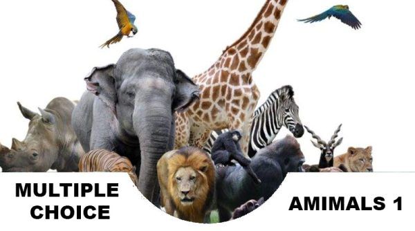 Animals Multiple Choice Quiz With Answers – Free Pub Quiz Templates